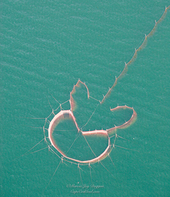 Fish Weir | Nantucket Sound -Cape Cod | Marcia Joy Duggan Photography