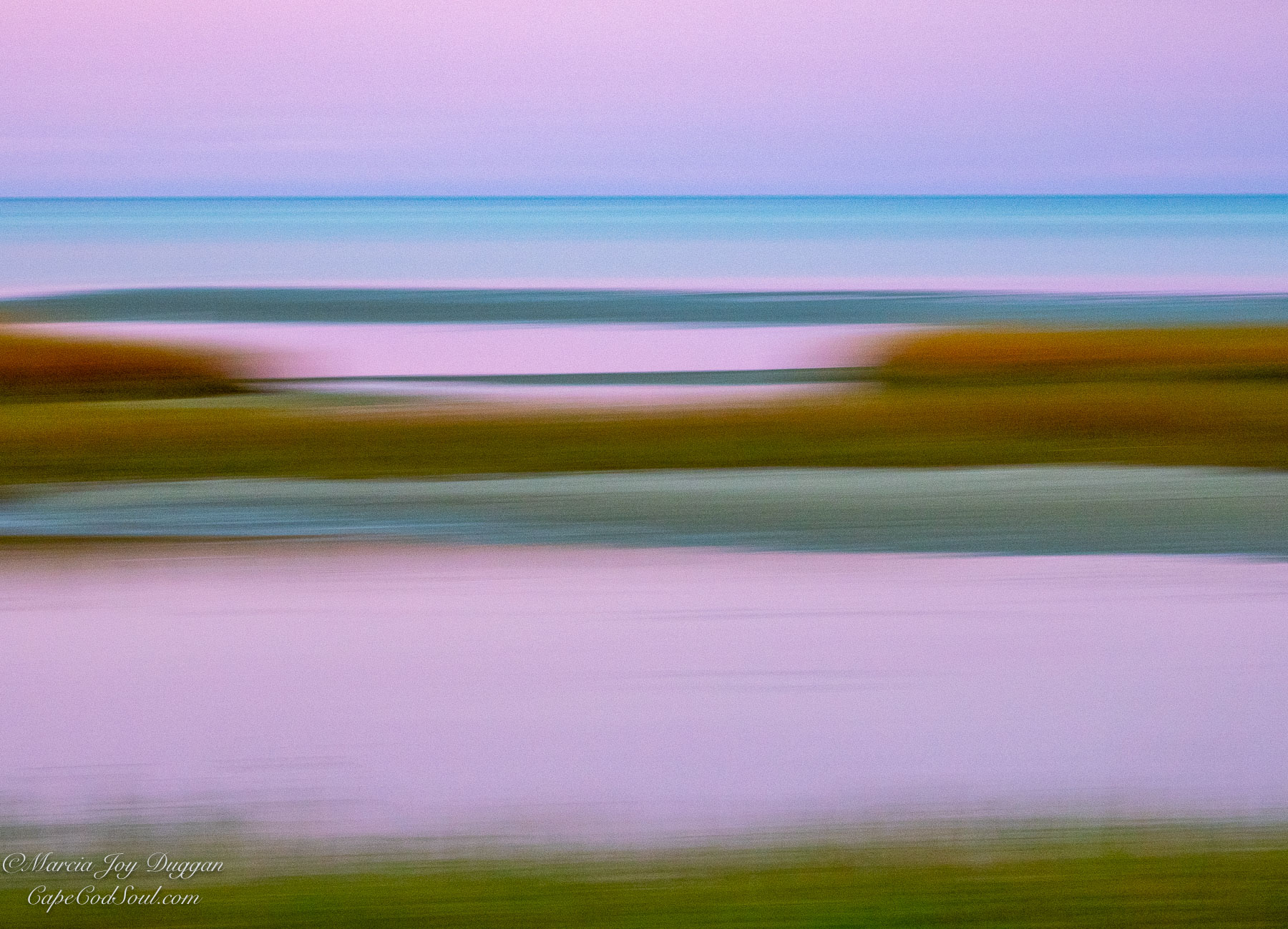 Bay Rose | Cape Cod Bay | Marcia Joy Duggan Photography